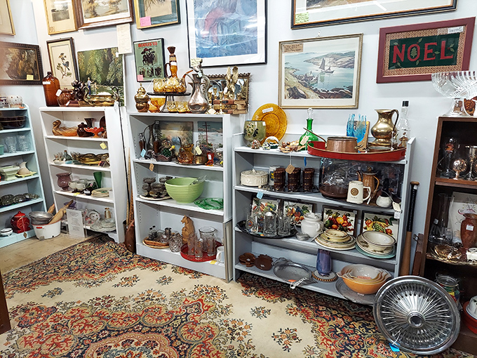 Vintage dishware arranged with the care of a museum curator but priced for people who actually want to take history home.