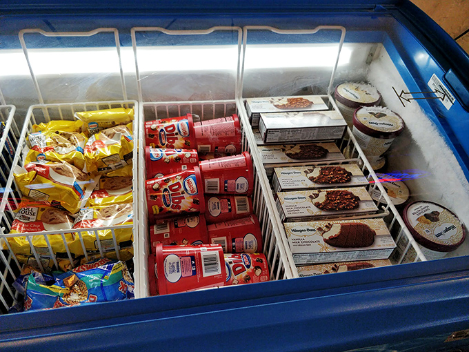 The freezer case &ndash; where ice cream dreams and frozen necessities live together in perfect harmony, ready for the Texas heat outside.
