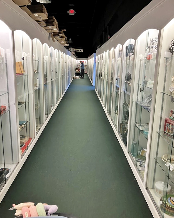 The corridor of curio cabinets stretches like a museum gallery, each white display case a miniature world of collectible wonders.