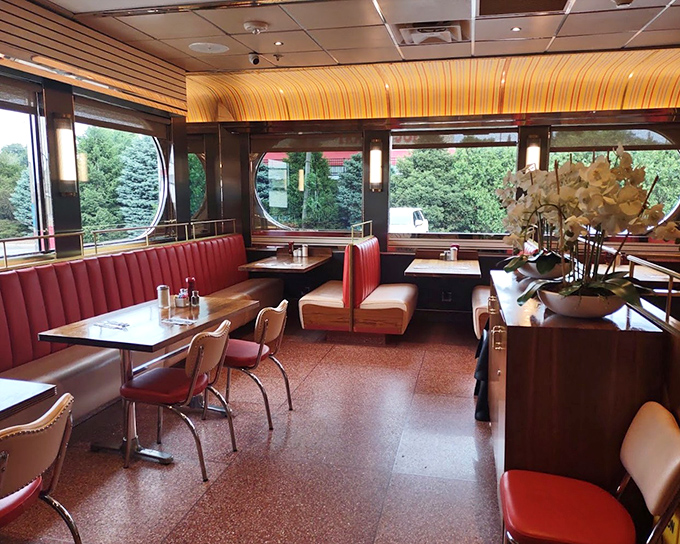 The curved ceiling and warm wood tones create an atmosphere that feels both nostalgic and timeless, like a hug from your favorite aunt.