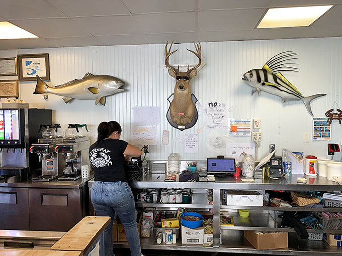 Where deer heads and fish mounts coexist in perfect harmony &ndash; a uniquely Virginia Beach blend of land and sea that somehow makes perfect sense.
