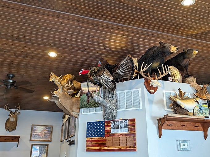 Taxidermy that tells stories of local hunting traditions watches over diners. These silent sentinels have witnessed countless wing-induced euphoria.