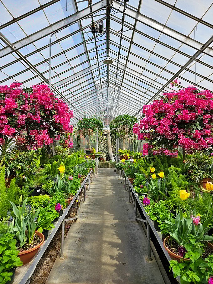 The greenhouse bursts with tropical color, creating a warm escape even on Ohio's chilliest days&mdash;like a vacation you can take in an afternoon.