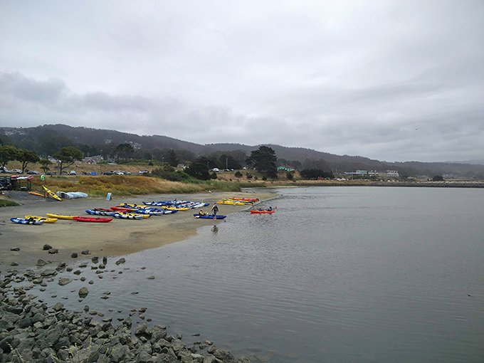 Colorful kayaks wait patiently for adventure-seekers to explore Half Moon Bay's gentler waters on this misty coastal morning.