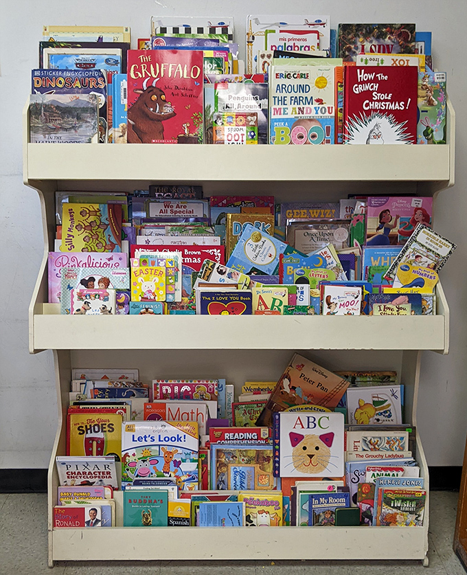 Where young imaginations find their next favorite adventure, one colorful page at a time.