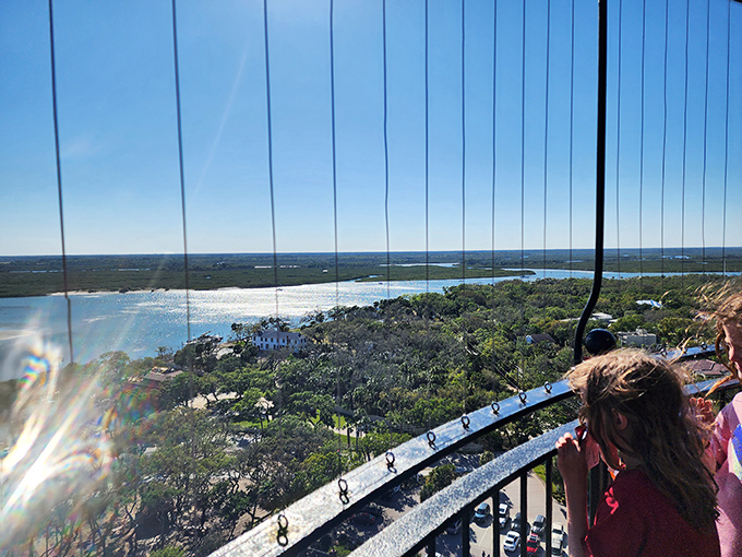 Young explorers discovering that the best views in Florida don't require a resort booking&mdash;just comfortable shoes and a willingness to climb.