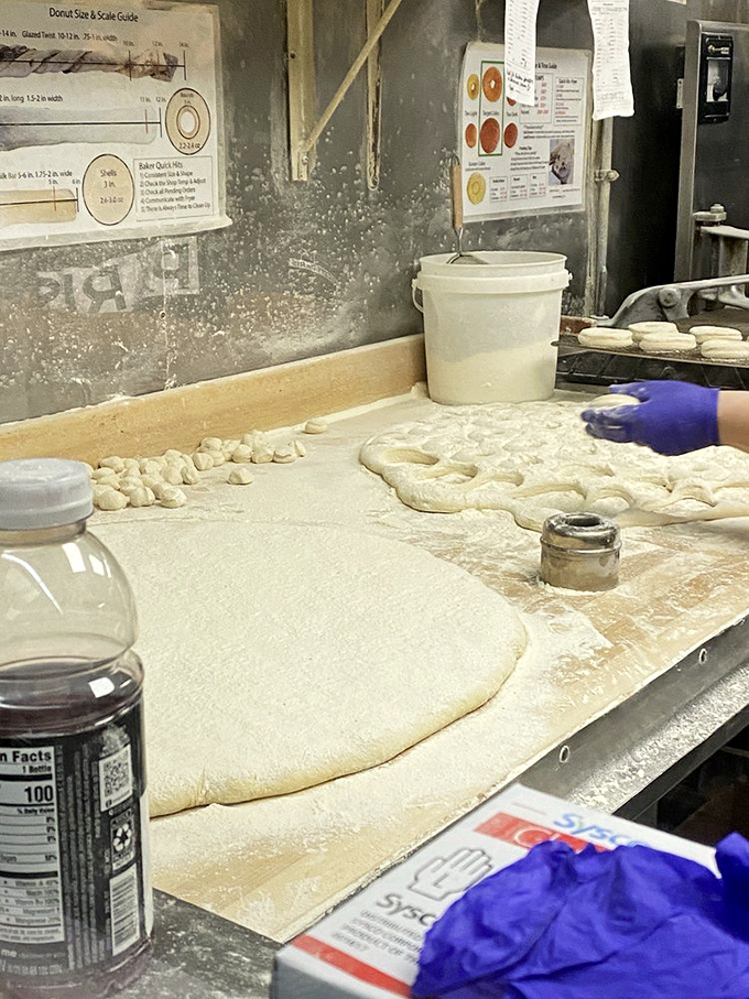 The kitchen's work surface dusted with flour &ndash; each donut begins its journey here before becoming someone's moment of bliss.