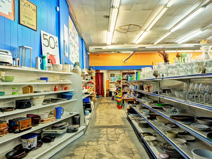 Kitchen treasures line the shelves like a museum of domestic history, from Pyrex patterns of yesteryear to barely-used modern gadgets.