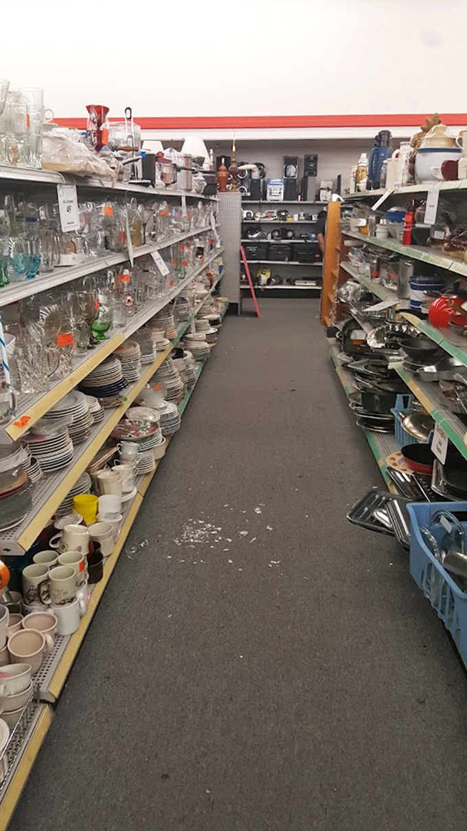 Kitchen aisles stretch endlessly, creating a wonderland where culinary dreams meet reasonable budgets.