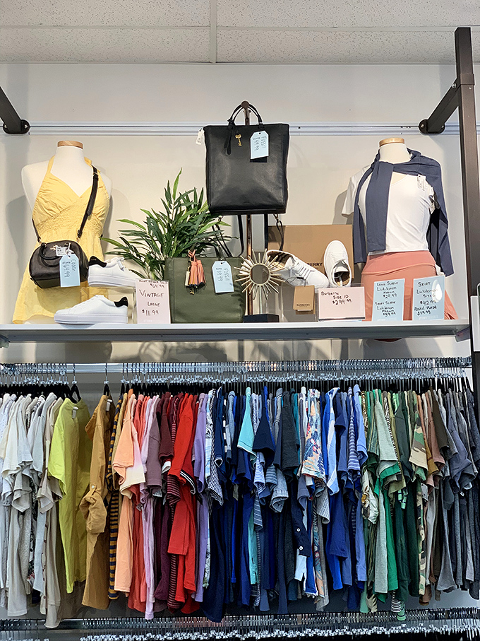 Color-coordinated women's clothing creates a visual feast that's as pleasing to the eyes as it is to the wallet.