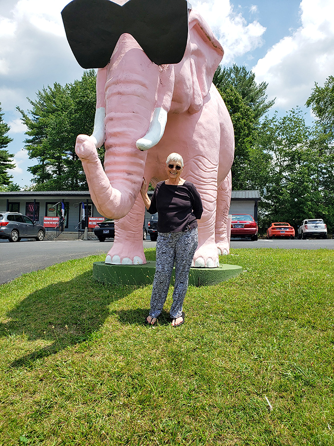 The scale of Ellie becomes apparent when standing beside her, creating the perfect photo opportunity that will become the highlight of any road trip album.