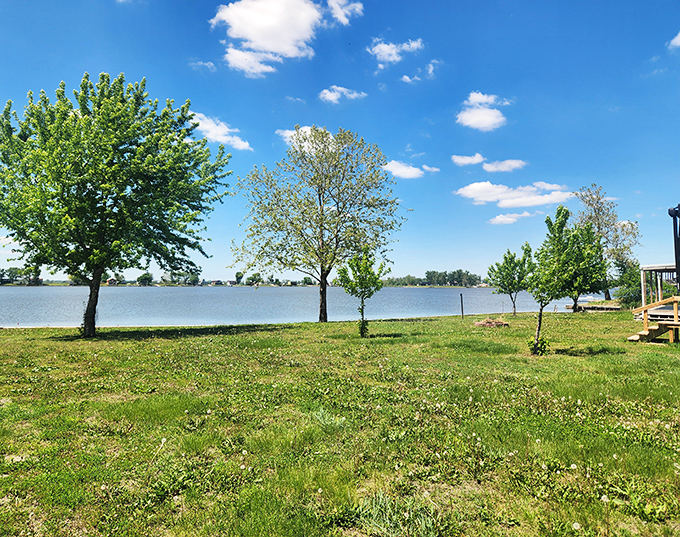 Young trees stand sentinel along the shoreline, promising decades of shade for future generations of park visitors.