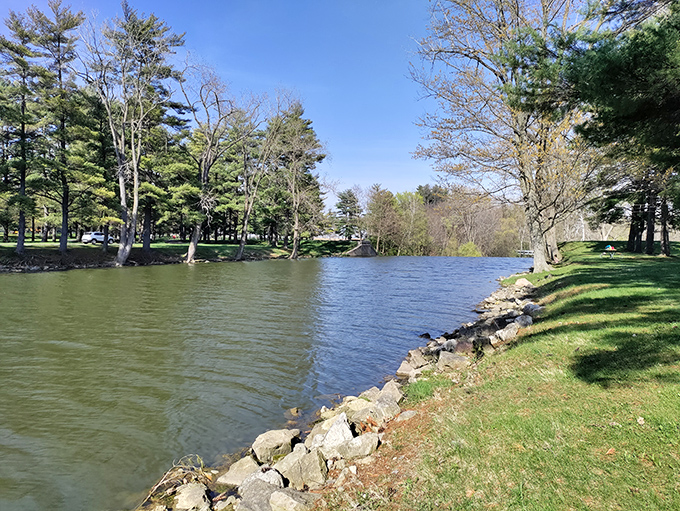 The lake's edge, where water meets land in a perfect harmony of blues and greens, punctuated by nature's own rock garden.