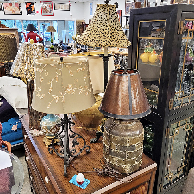 Lampshade personalities on full display&mdash;from leopard print divas to understated elegance, your perfect reading light awaits.