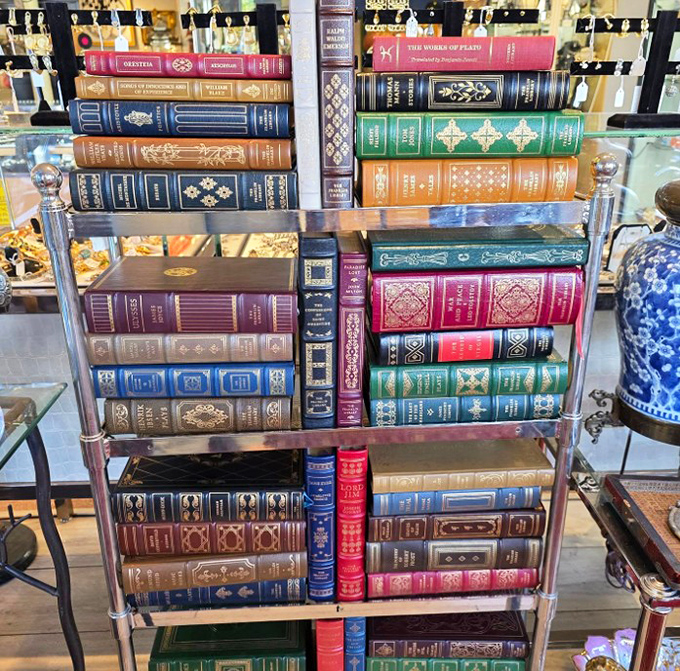 Leather-bound literary treasures with gilt-edged pages offer wisdom, adventure, and that incomparable old-book smell that no Kindle can replicate.