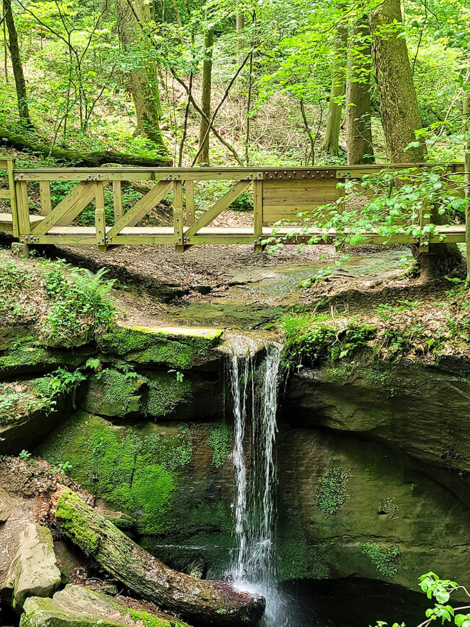 Little Falls proves that size isn't everything&mdash;this delicate cascade creates a peaceful soundtrack that expensive meditation apps try desperately to replicate.