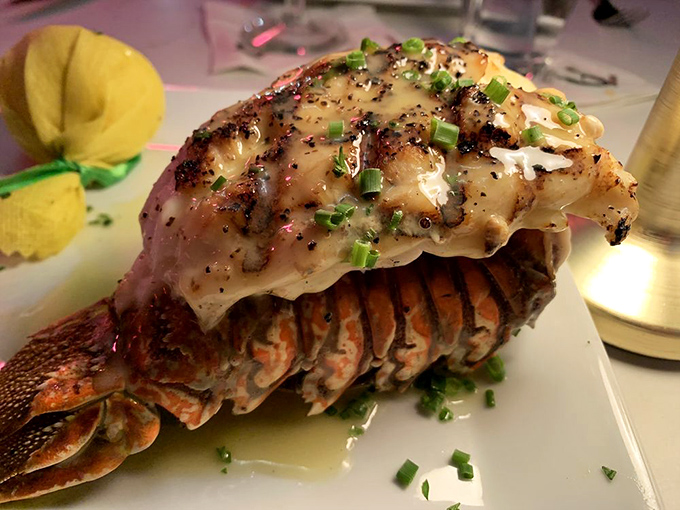 Lobster tail that makes you understand why people fight over the last one. Sweet meat that justifies the bib, the price, and the anticipation.