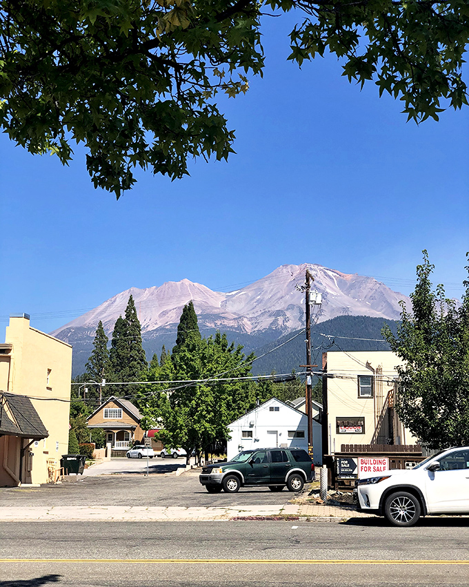 The view that launched a thousand real estate purchases. Mount Shasta looms over town like a benevolent guardian of alpine dreams.