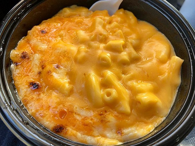 Mac and cheese that's achieved that perfect golden crust—the culinary equivalent of catching the sunset at just the right moment.