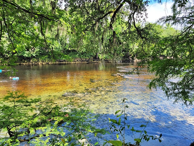 The park's entrance sign stands proudly between flags, a humble herald for the natural wonder that awaits beyond.