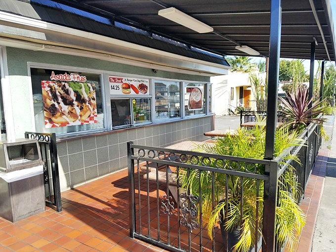 The outdoor patio&mdash;where palm trees provide the ambiance and the promise of pastrami provides the motivation to visit.