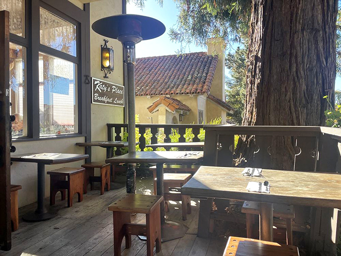 The outdoor patio&mdash;where you can commune with that magnificent tree while contemplating life's greatest question: sweet or savory?