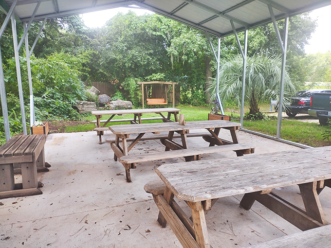 Outdoor seating under a simple pavilion, where the Florida breeze carries hints of smoke. Nature's dining room improves every bite.