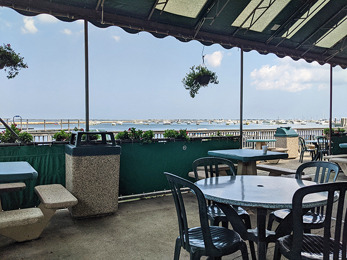 Ocean views that pair perfectly with whatever's on your plate. Nature's dining room makes everything taste just a little bit better.