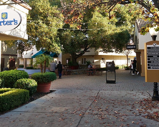 Dappled sunlight filters through mature trees in this charming walkway, where shoppers stroll between stores like characters in a retail-therapy movie scene.