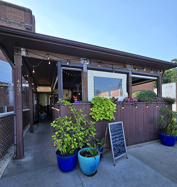 The patio entrance, with its blue planters and string lights, feels like the front porch of that cool neighbor who always has snacks.