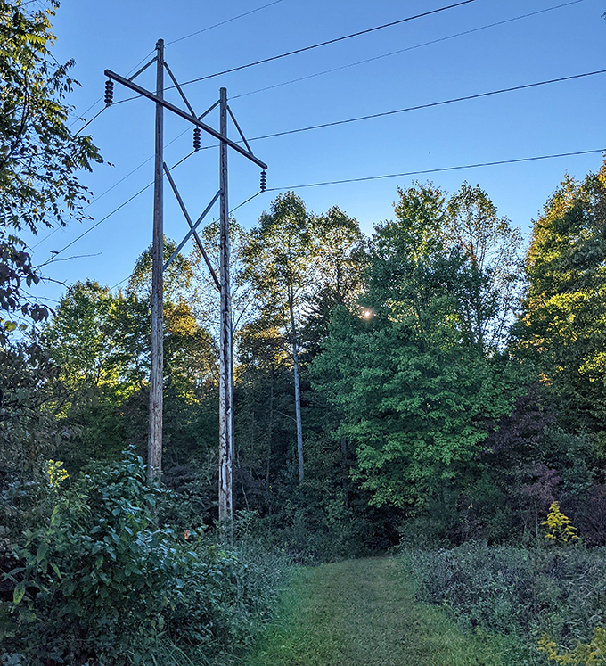 Even power lines can't diminish nature's beauty here. The contrast of human infrastructure against the wild backdrop reminds us how precious these preserved spaces truly are.