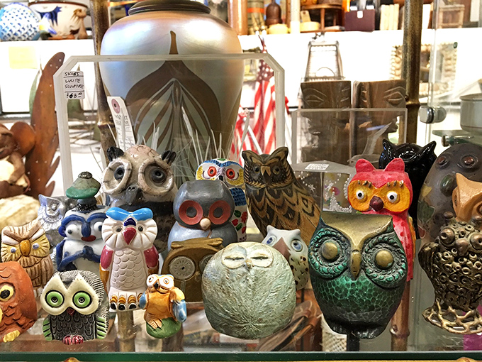 The owl figurine brigade stands at attention, a parliament of ceramic wisdom with expressions ranging from "profoundly wise" to "mildly judgmental."