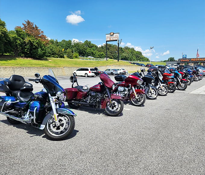 Even the motorcycles take pilgrimages to Mountain Gate, lining up like chrome-plated disciples at the temple of comfort food.