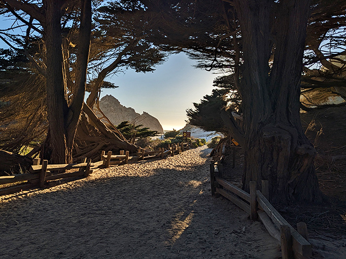 The path less traveled leads to the greatest rewards. This sandy trail promises adventure with every step toward the horizon.