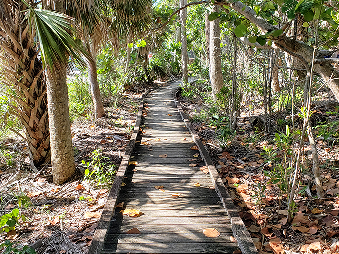 The pathway less traveled leads to treasures unknown. This wooden walkway through native Florida vegetation feels like stepping into a storybook.