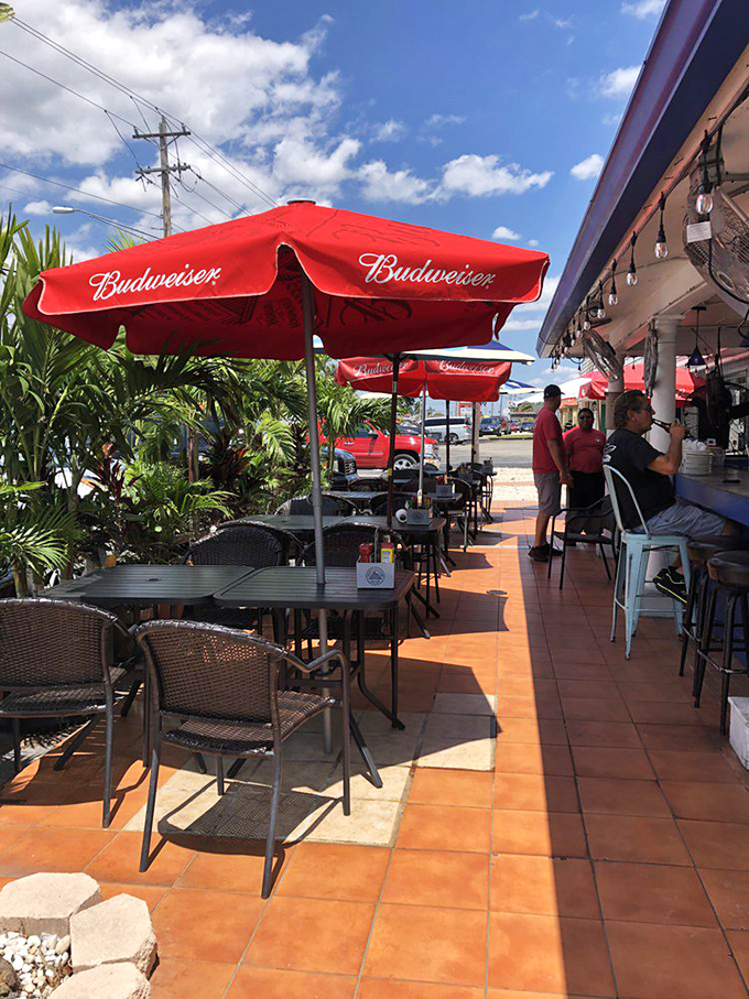 Florida dining as it should be: open air, palm trees, and the promise of seafood that was swimming this morning.