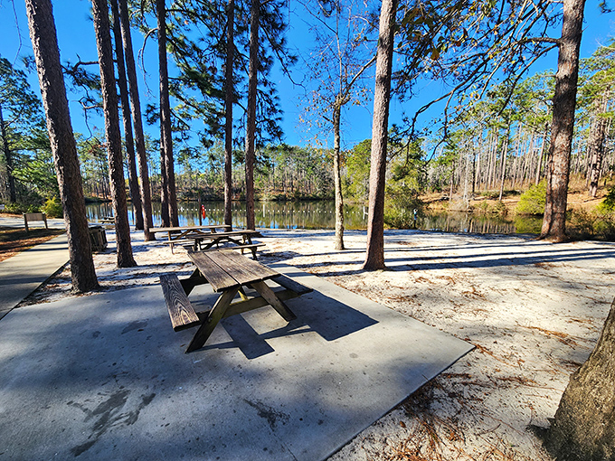 Lakeside picnic spots that make brown-bagging it feel like fine dining &ndash; just add water, trees, and the absence of office fluorescents.