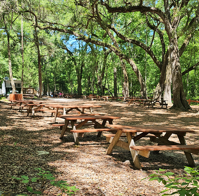 Picnic perfection awaits under ancient oaks that have hosted countless family memory-making sessions.