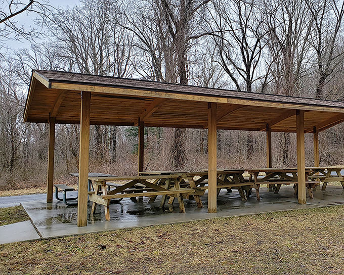The park's picnic pavilion &ndash; where sandwiches taste 37% better simply because you're eating them outdoors.