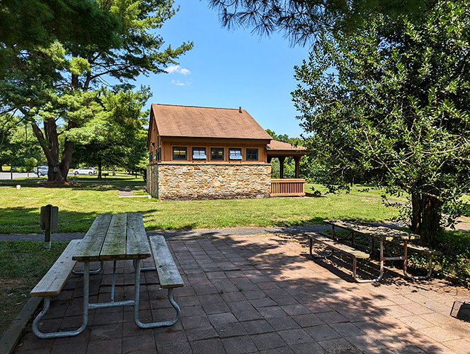 Picnic tables: the original social network. This spot offers views, shade, and the perfect excuse to eat with your hands.