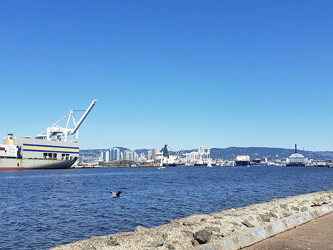The waterfront setting adds nautical charm to your treasure hunt. Even the seagulls seem to appreciate Alameda's vintage vibes.