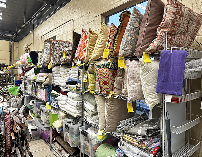 Pillow paradise! Because nothing says "adulting" quite like getting genuinely excited about affordable cushions for your couch or bed.