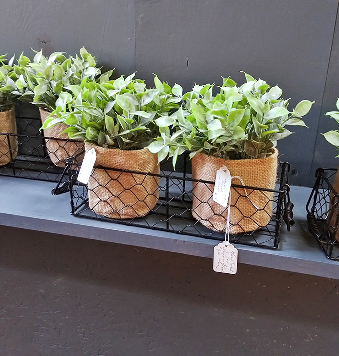 Even the plants get the vintage treatment, nestled in burlap and wire baskets. Bringing life to history, one potted green friend at a time.