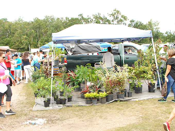 A nursery of potted possibilities&mdash;these plants aren't just greenery; they're future shade, future gardens, future Sunday morning coffee companions.