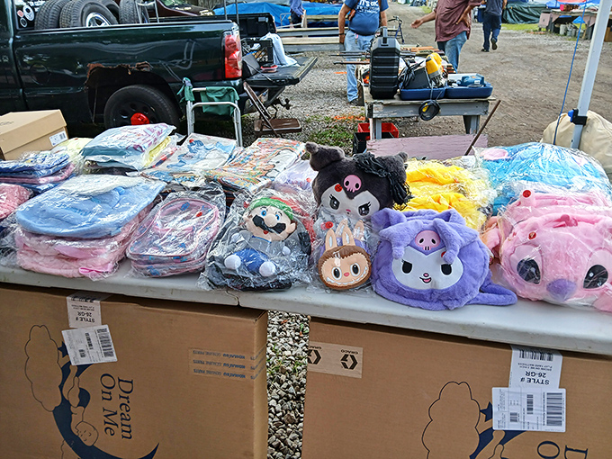 Plush paradise for the young and young-at-heart. These colorful characters have journeyed from bedroom shelves to find new homes and adventures.