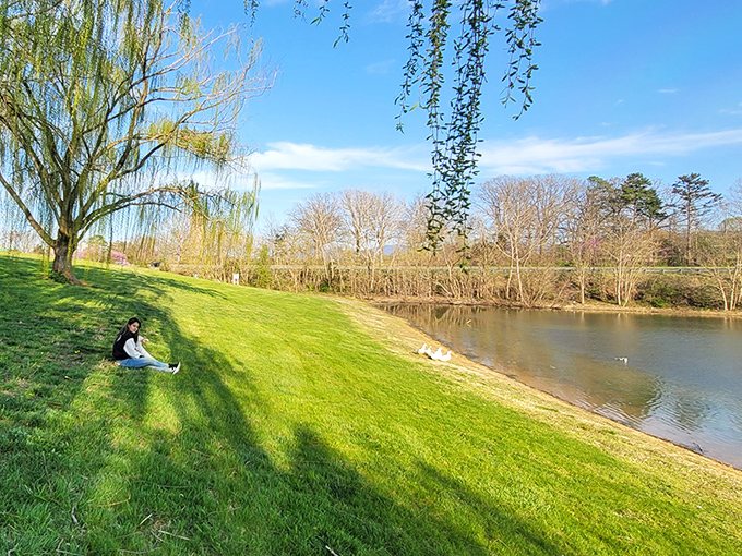 Weeping willows frame a serene pond where reflections are almost as perfect as those in Dream Lake below ground.