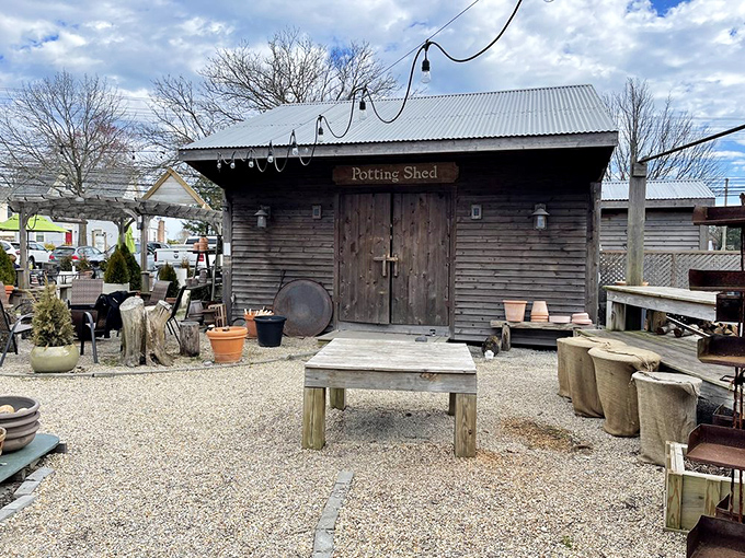 The rustic potting shed stands like a sentry, guarding the garden secrets that eventually make their way onto your plate.