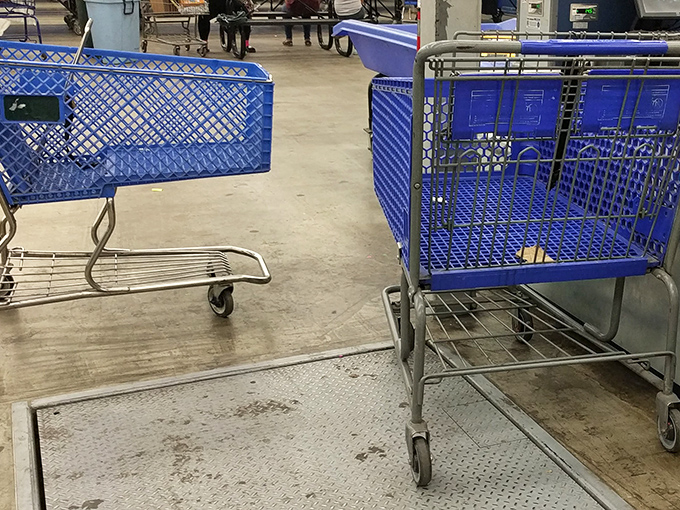 The blue chariots of possibility await your treasure-hunting expedition. Choose your vehicle wisely&mdash;the journey ahead requires space.