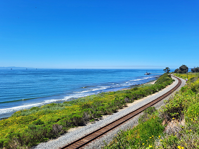 The coastal railway hugs the shoreline like an old friend, offering passengers front-row seats to the Pacific's endless blue performance.