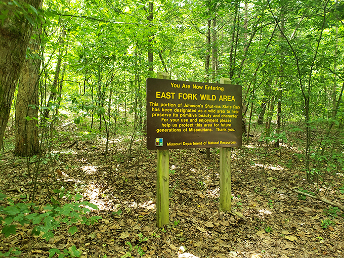 The East Fork Wild Area &ndash; where "primitive beauty" is the understatement of the geological era.